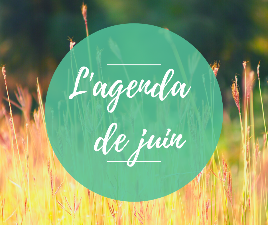 L'agenda de juin - Dates des formations et ateliers O'POTENTIA